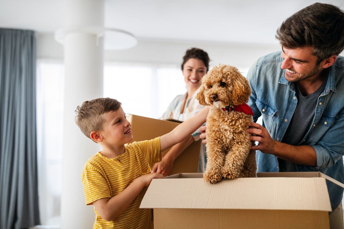 Healthy Paws Pet Insurance Review | Consumer Rating